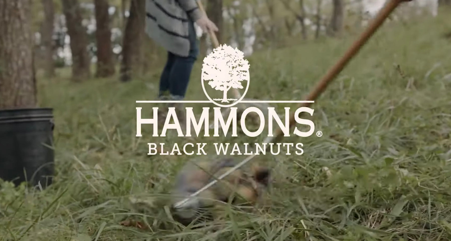 Hammons Pantry
